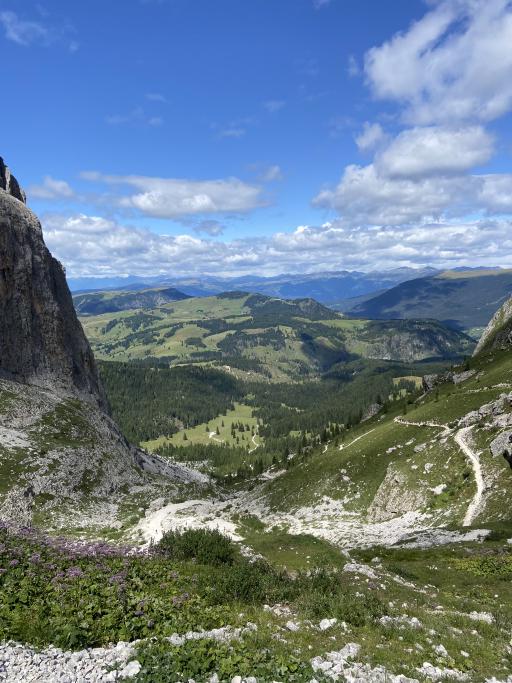 Home | Adam Warski: programming articles & videos